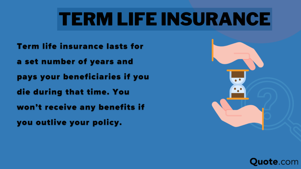 Whole vs. Term Life Insurance in 2024: Differences Explained (+What You ...