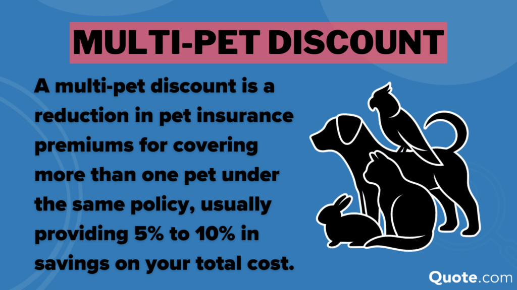 10 Best Pet Insurance Companies for 2025 | Quote.com